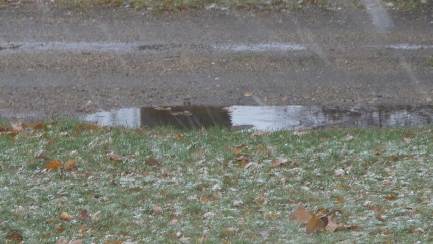 Stock video of snow falling on puddle | 7829938 | Shutterstock