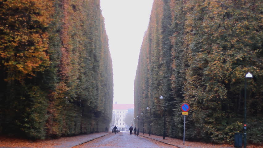 Malmo,Sweden October20 2014 :Large Park Ecology Green Nature Trees In ...
