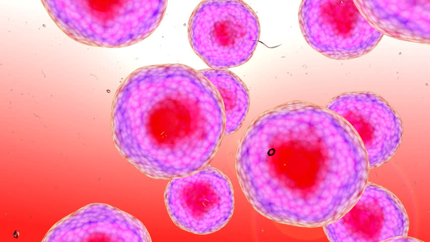 3d Animation of Human Cells Stock Footage Video (100% Royalty-free ...