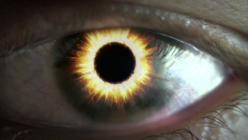 Screensaver Stock Footage Video | Shutterstock