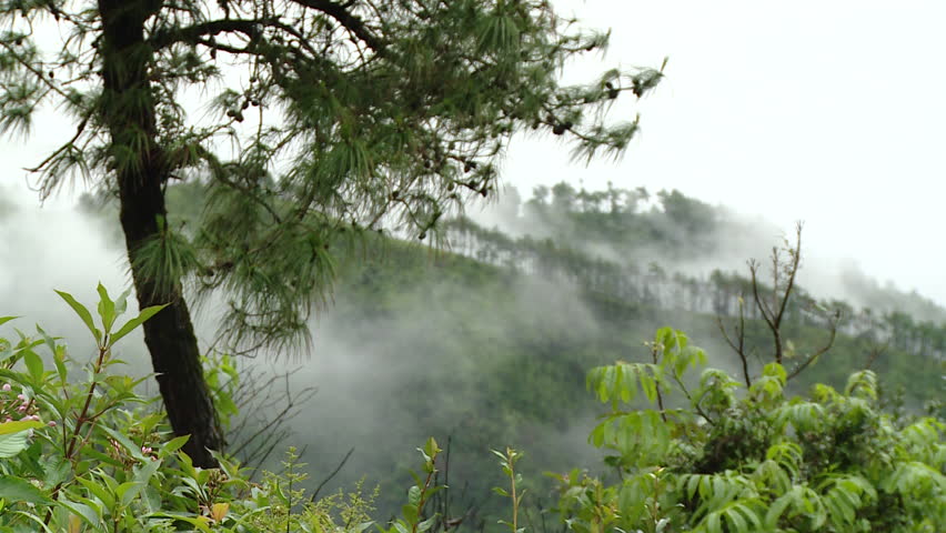 Timelapse Shot of Moving Mist Stock Footage Video (100% Royalty-free ...