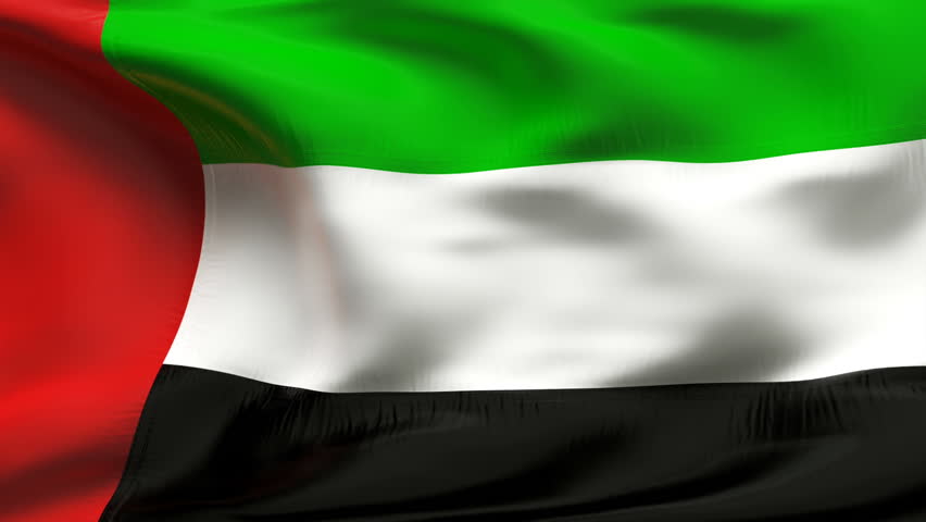 Dubai Flag Stock Footage Video | Shutterstock