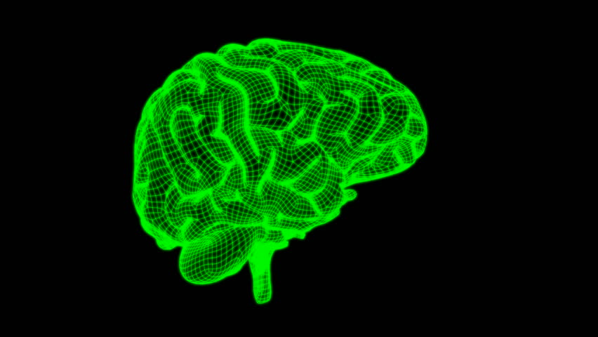Looping Glow Wireframe Brain Animation. Stock Footage Video (100% ...