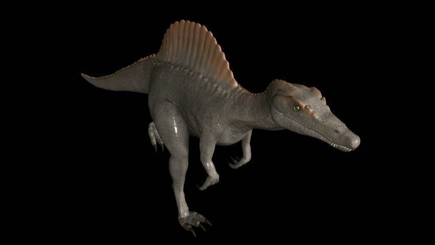 Stock Video Clip of Looping Dinosaur Spinosaurus Run Animation ...