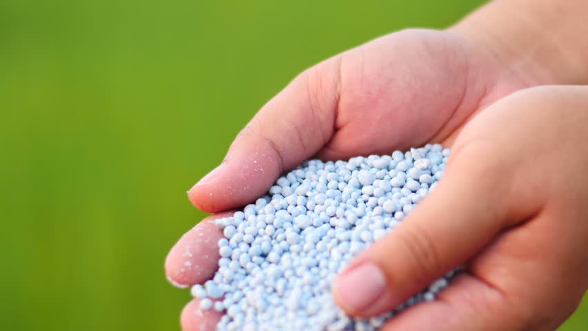 Stock Video Clip of 4K Close up farmer hand pouring blue | Shutterstock