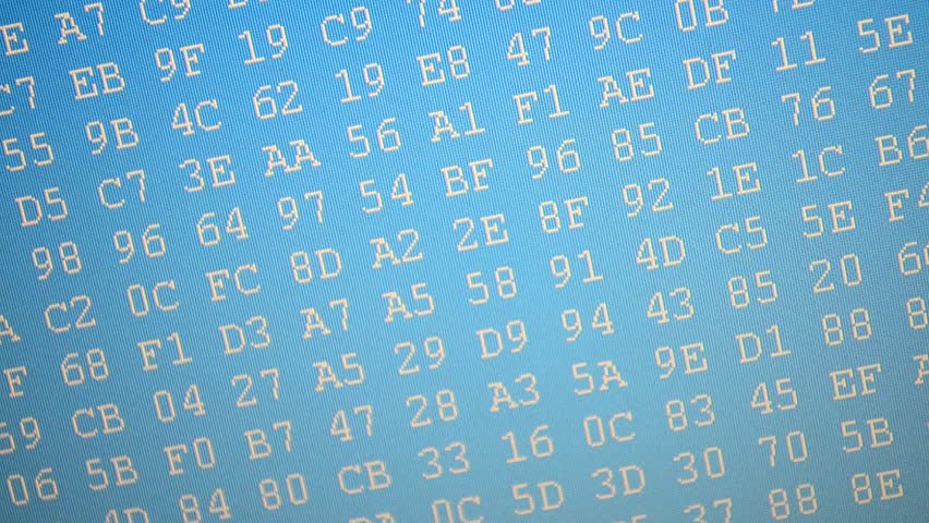 Hexadecimal Program Code On Screen Animated Background Of Moving Binary Code Numbers Stock