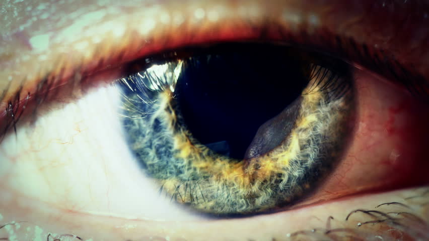Human Eye Iris Contracting. Extreme Close Up. 4K UHD 2160p Footage ...