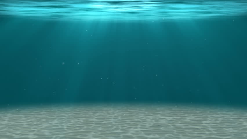 Ocean Floor Stock Footage Video | Shutterstock