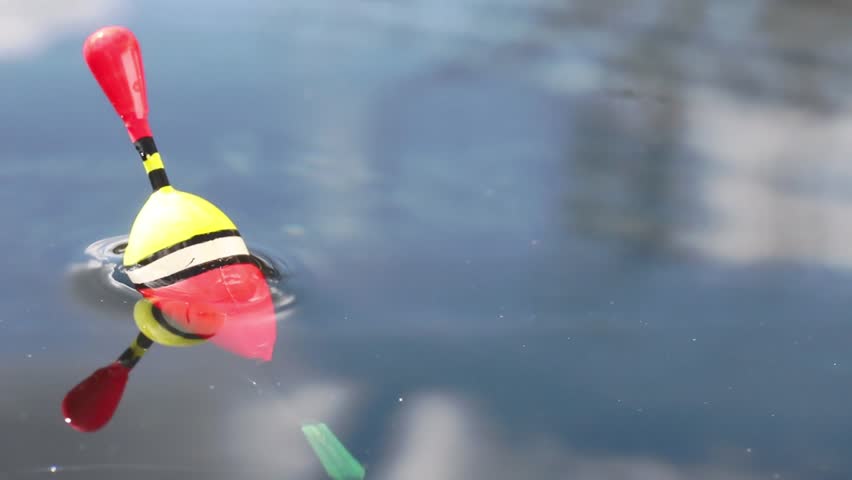 Catching of Fish. Fishing Bobber Stock Footage Video (100% Royalty-free ...