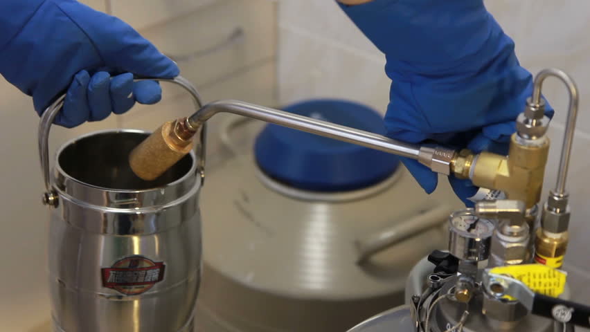 Liquid Nitrogen is Placed in Stock Footage Video (100% Royalty-free ...