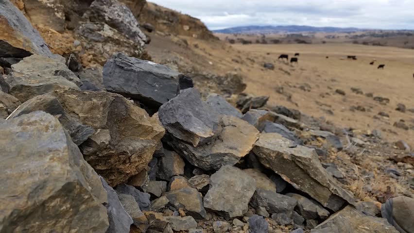 Paleontology Dig Fossil Excavation and Stock Footage Video (100% ...