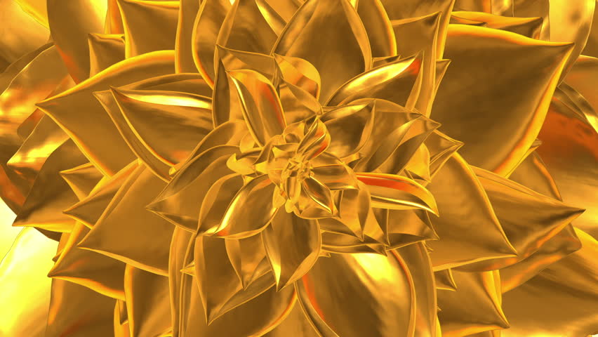 Golden Flower Opening. 3d Animation. Stockvideos & Filmmaterial (100 % ...